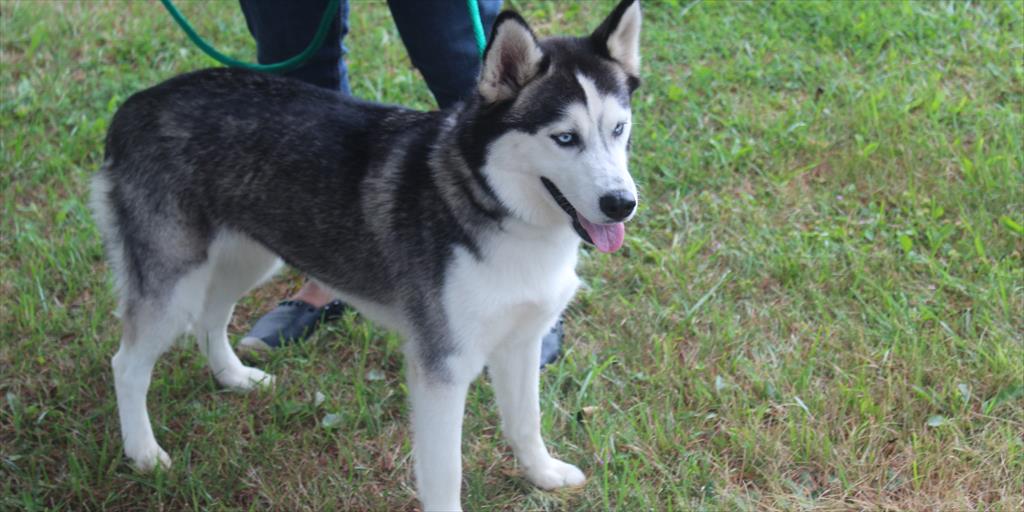 Sunday Stealing: Lucky Stubbs - Ramblin' with Roger